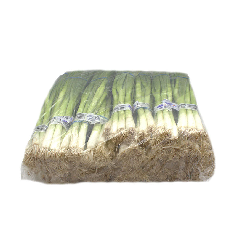 Green Onions /Scallions, Case (4x12's)